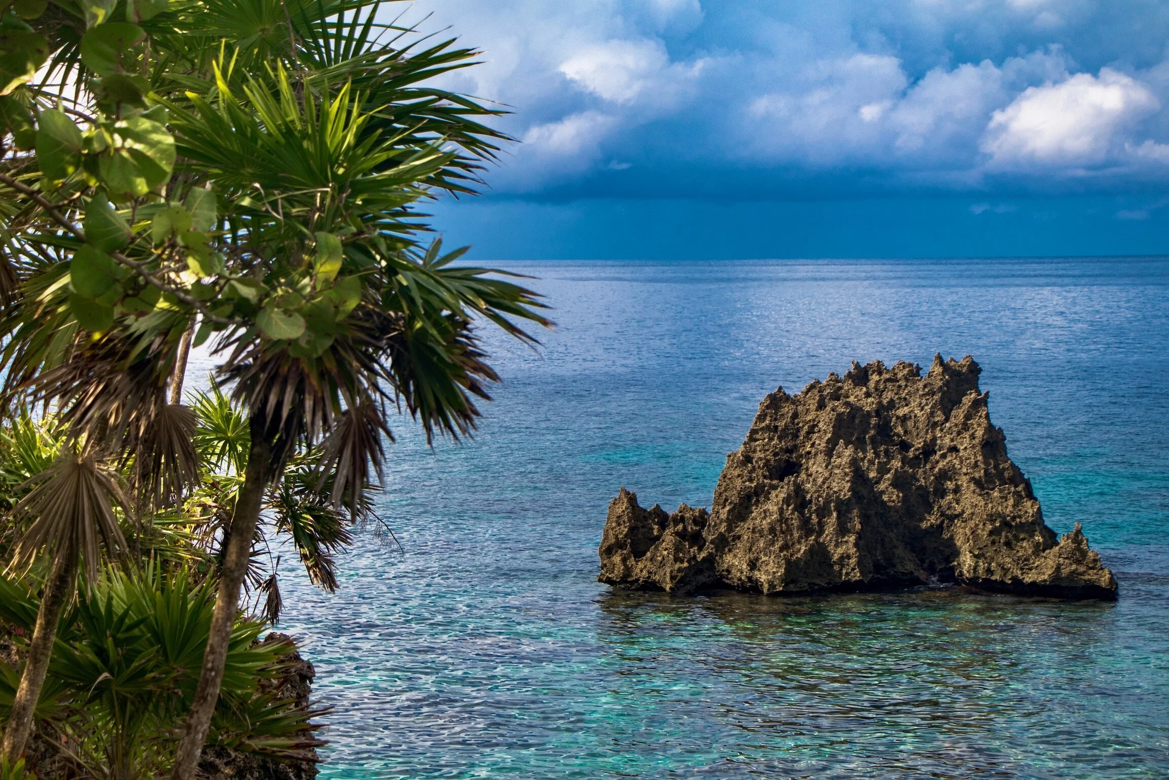 Fauna and Flora — Roatan Tourism Bureau