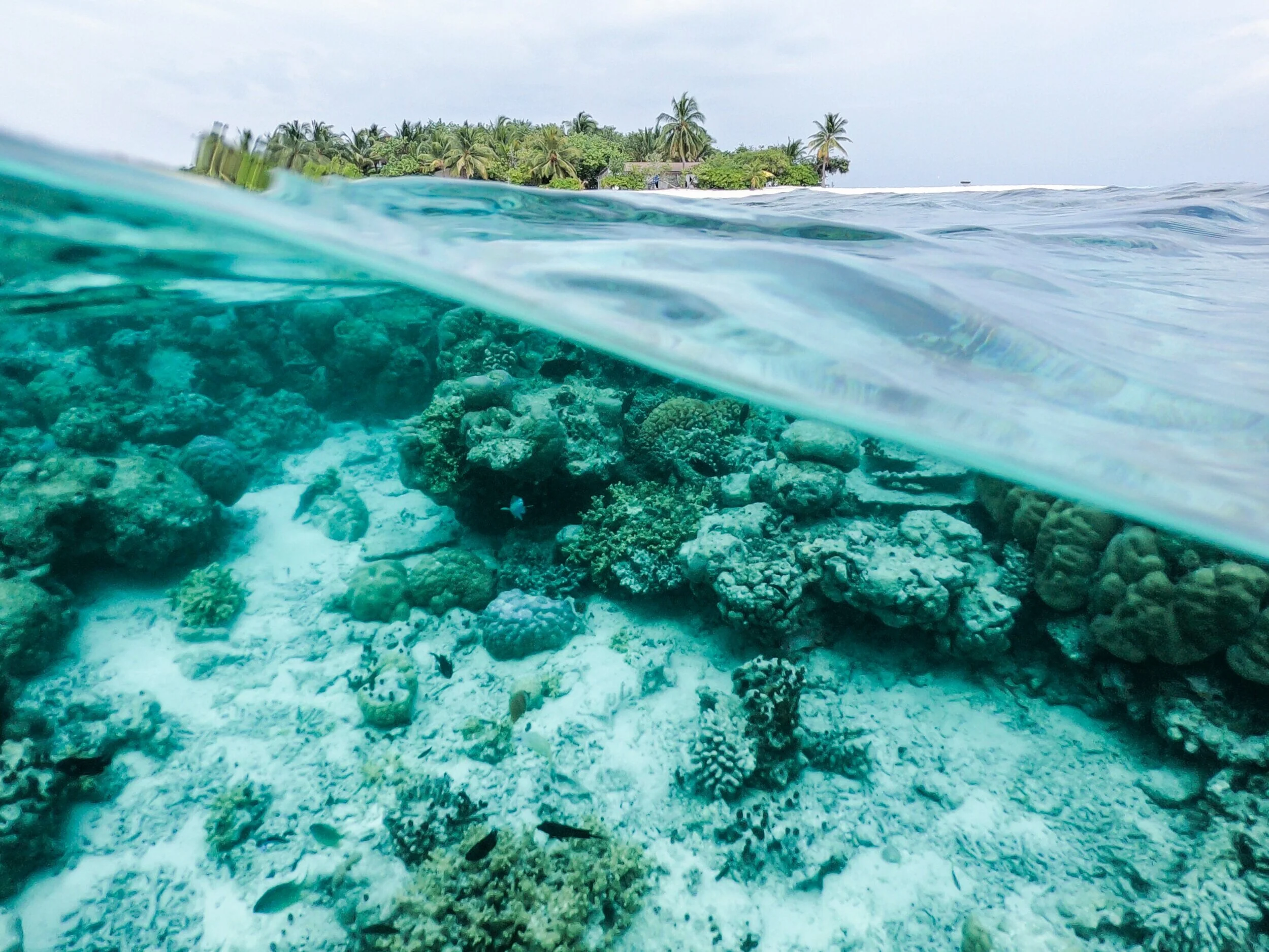 Roatan Climate — Roatan Tourism Bureau