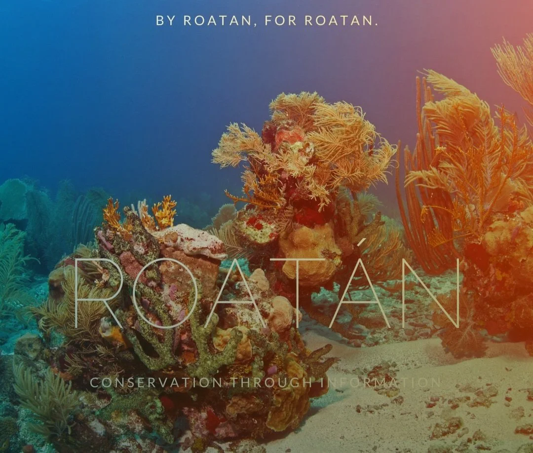 Roatan Tourism Bureau