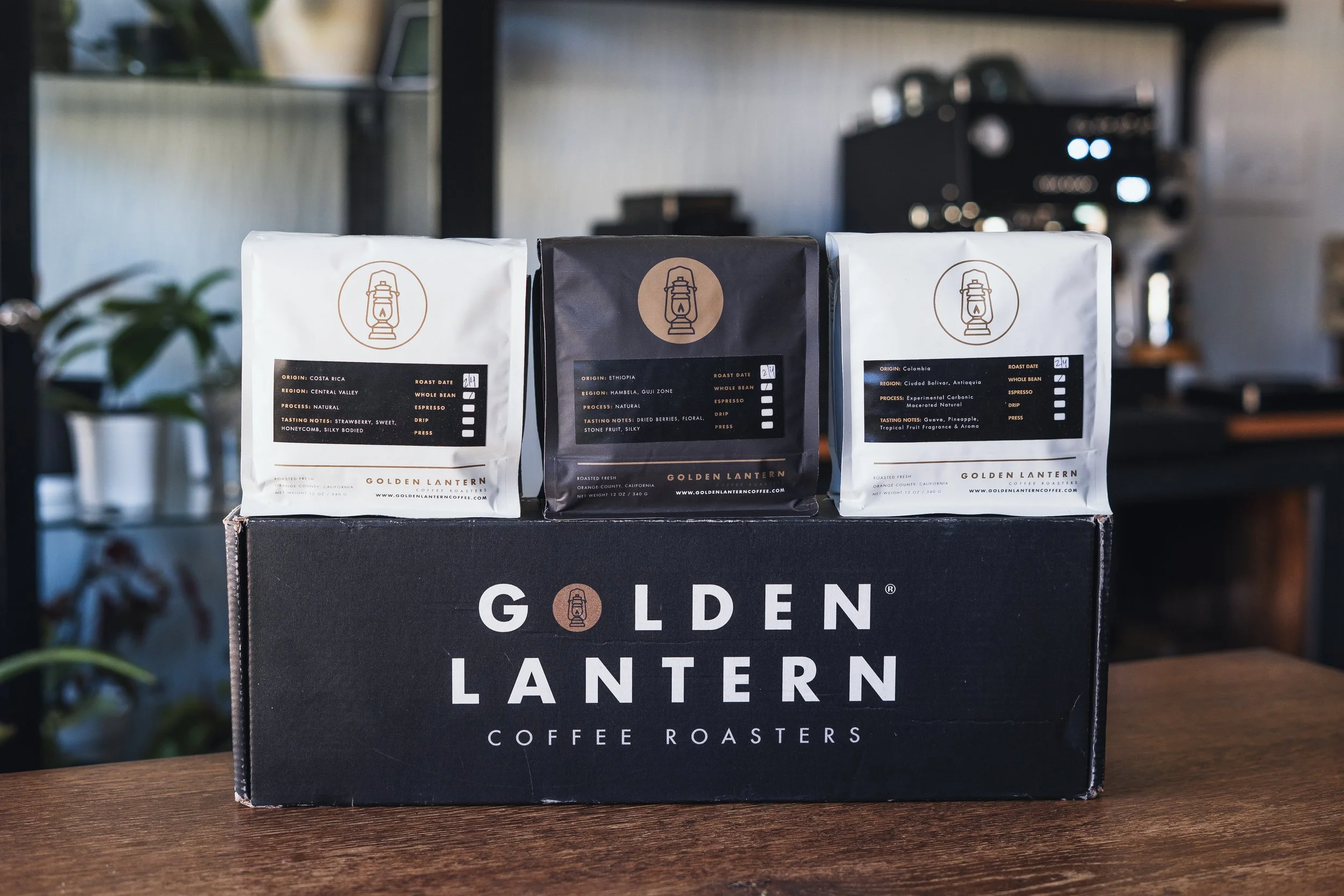 Golden Lantern Coffee Roasters