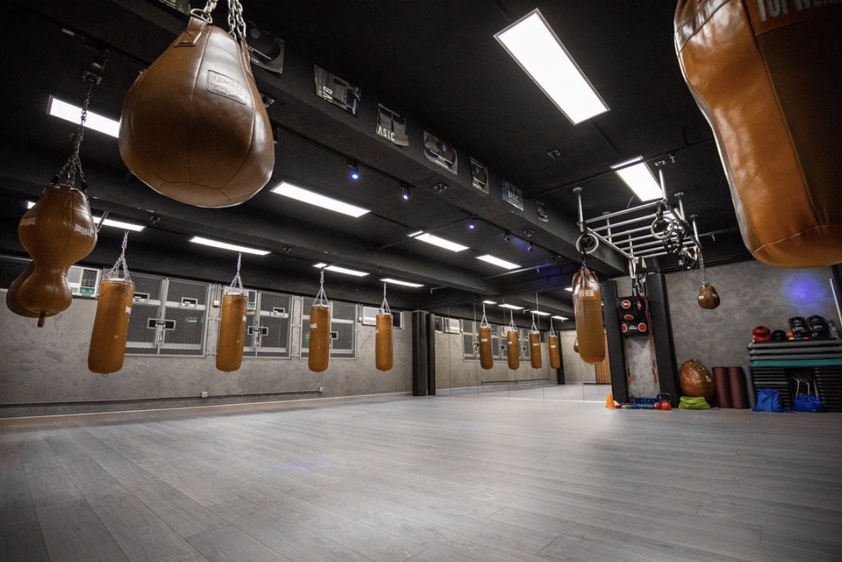 Basic Reflex Cuban Boxing Gym