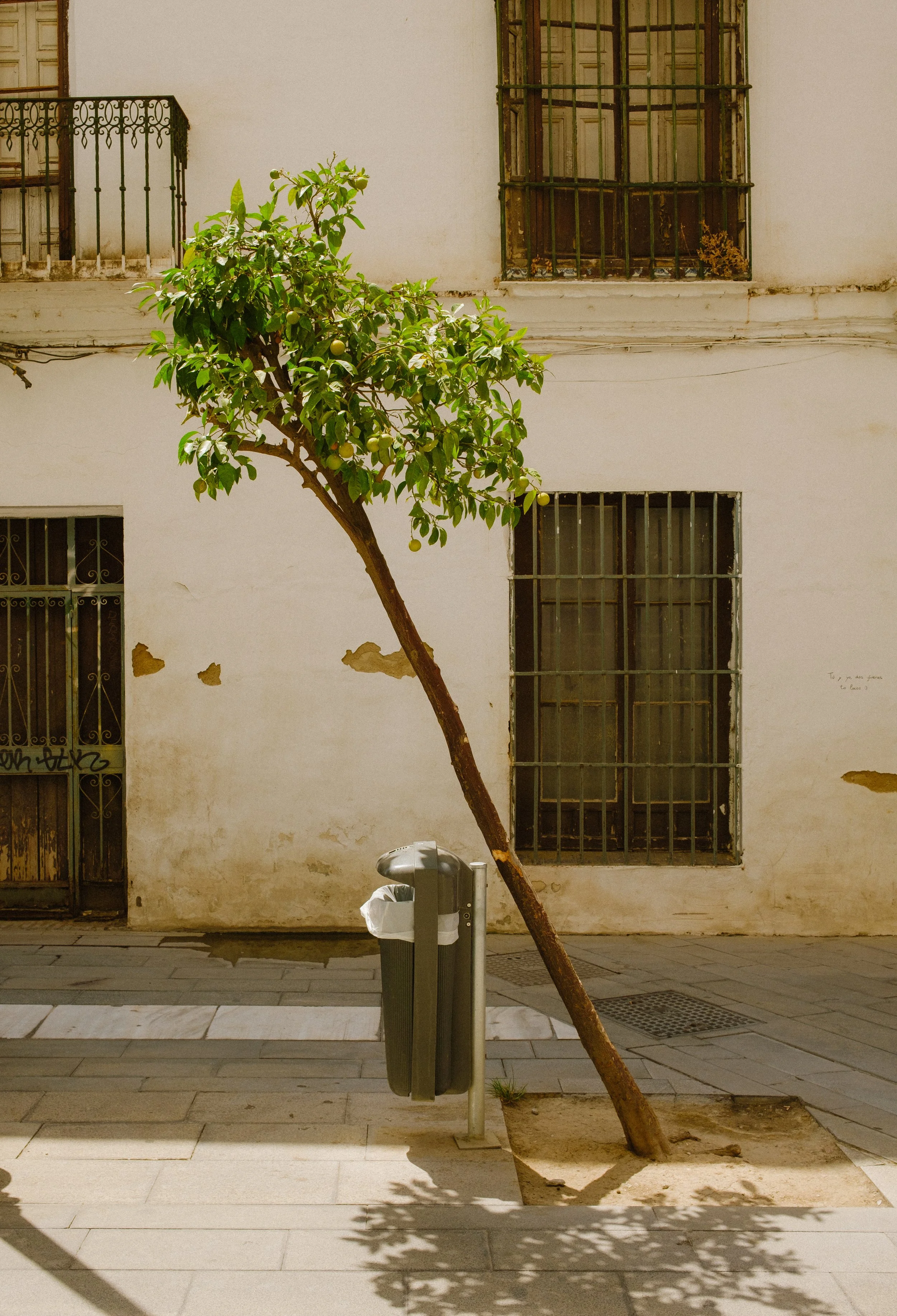 Seville — Mike Chudley
