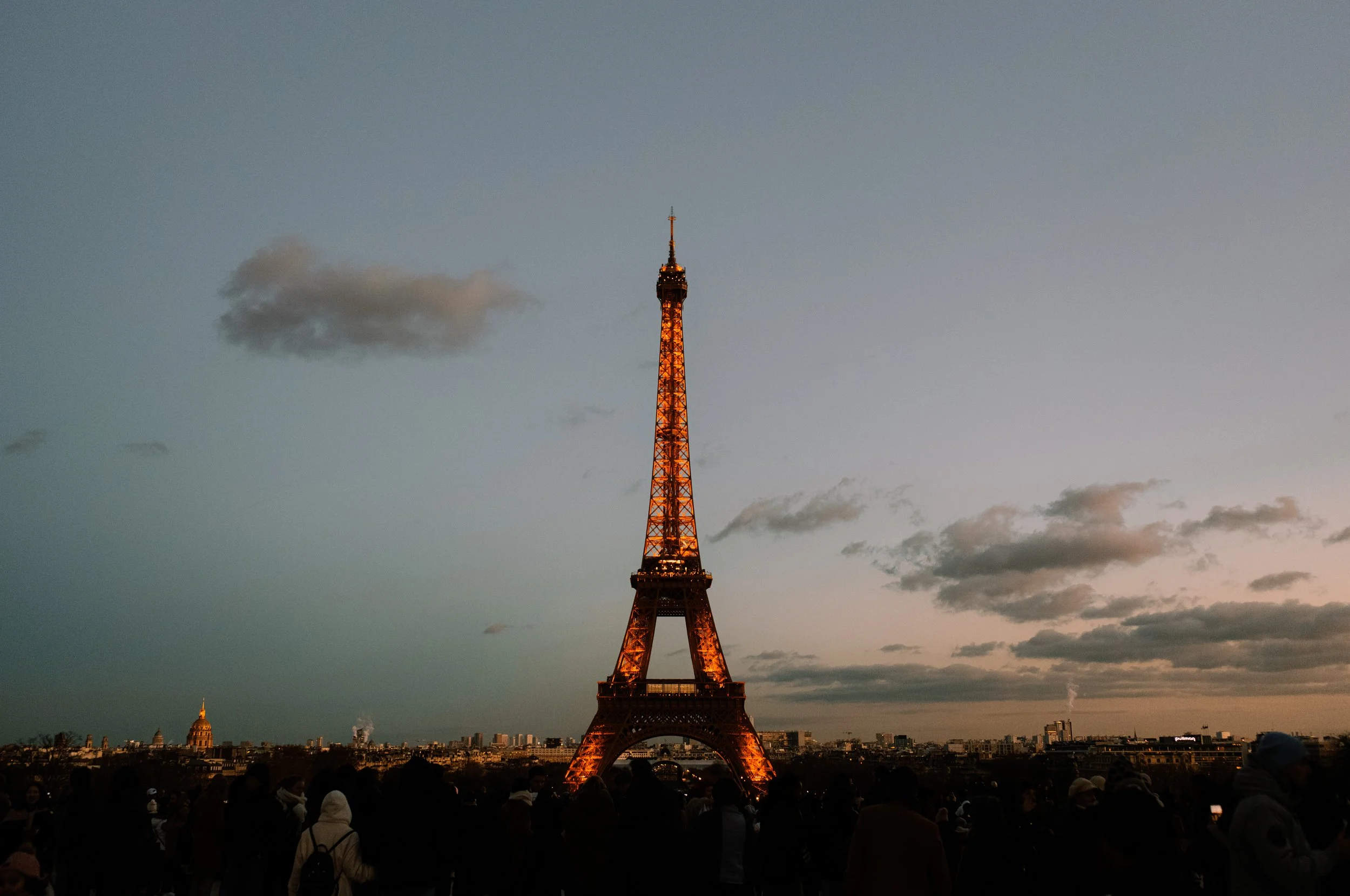 Gallery — Mike Chudley