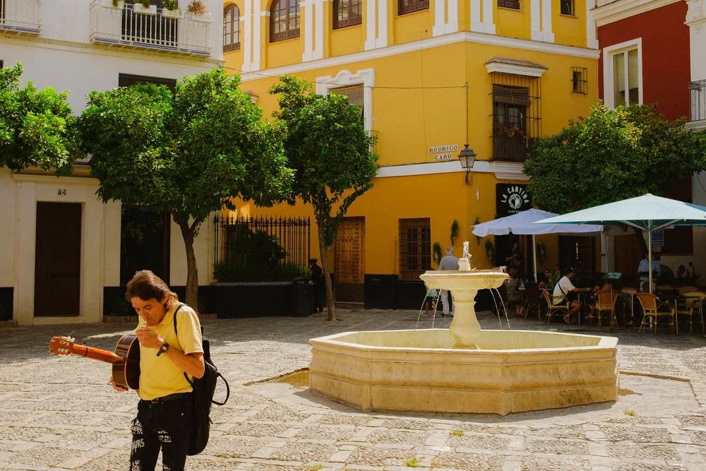 Seville — Mike Chudley