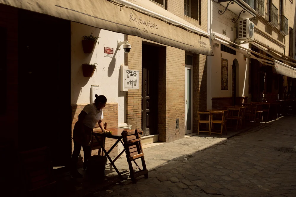 Seville — Mike Chudley