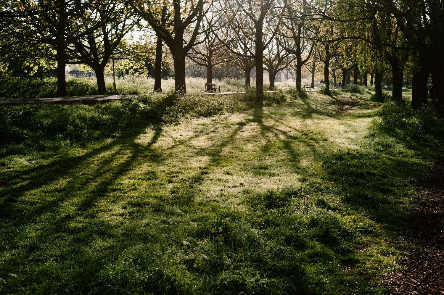 The perfect 40mm (Leica 40mm f/2 summicron-c) — Mike Chudley