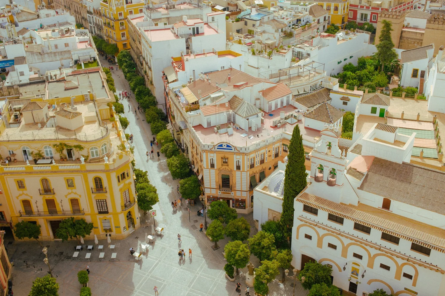Seville — Mike Chudley