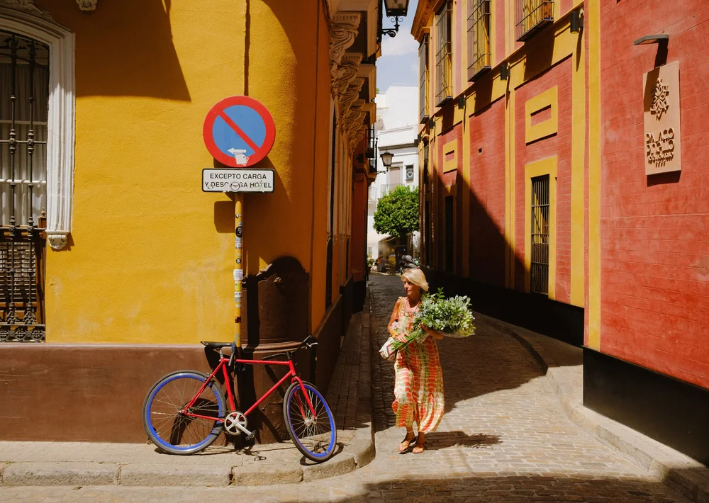 Seville — Mike Chudley