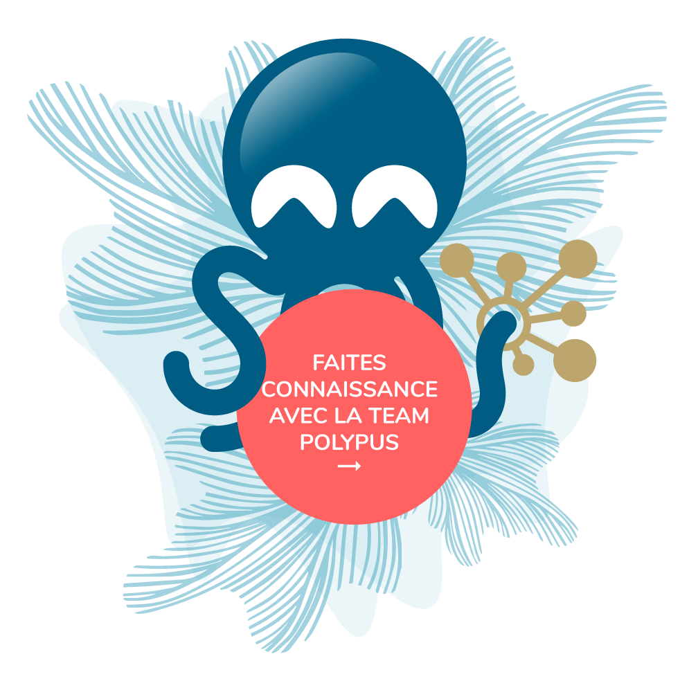 Polypus - scale up your business