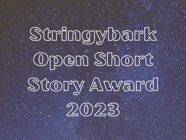 The Definitive List of Short Stories Contests in 2024 - Win Cash Prizes ...