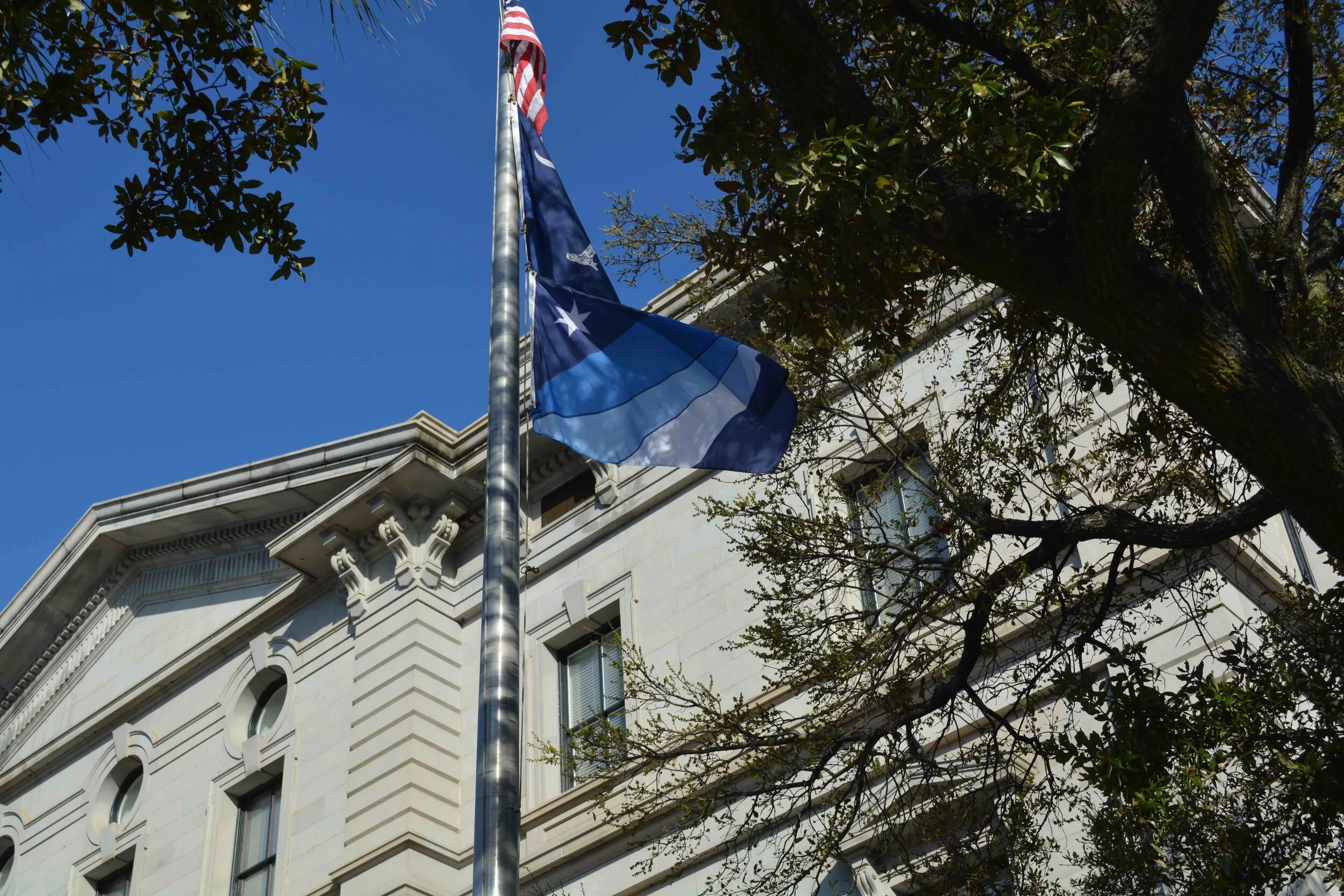 The Flag of Columbia