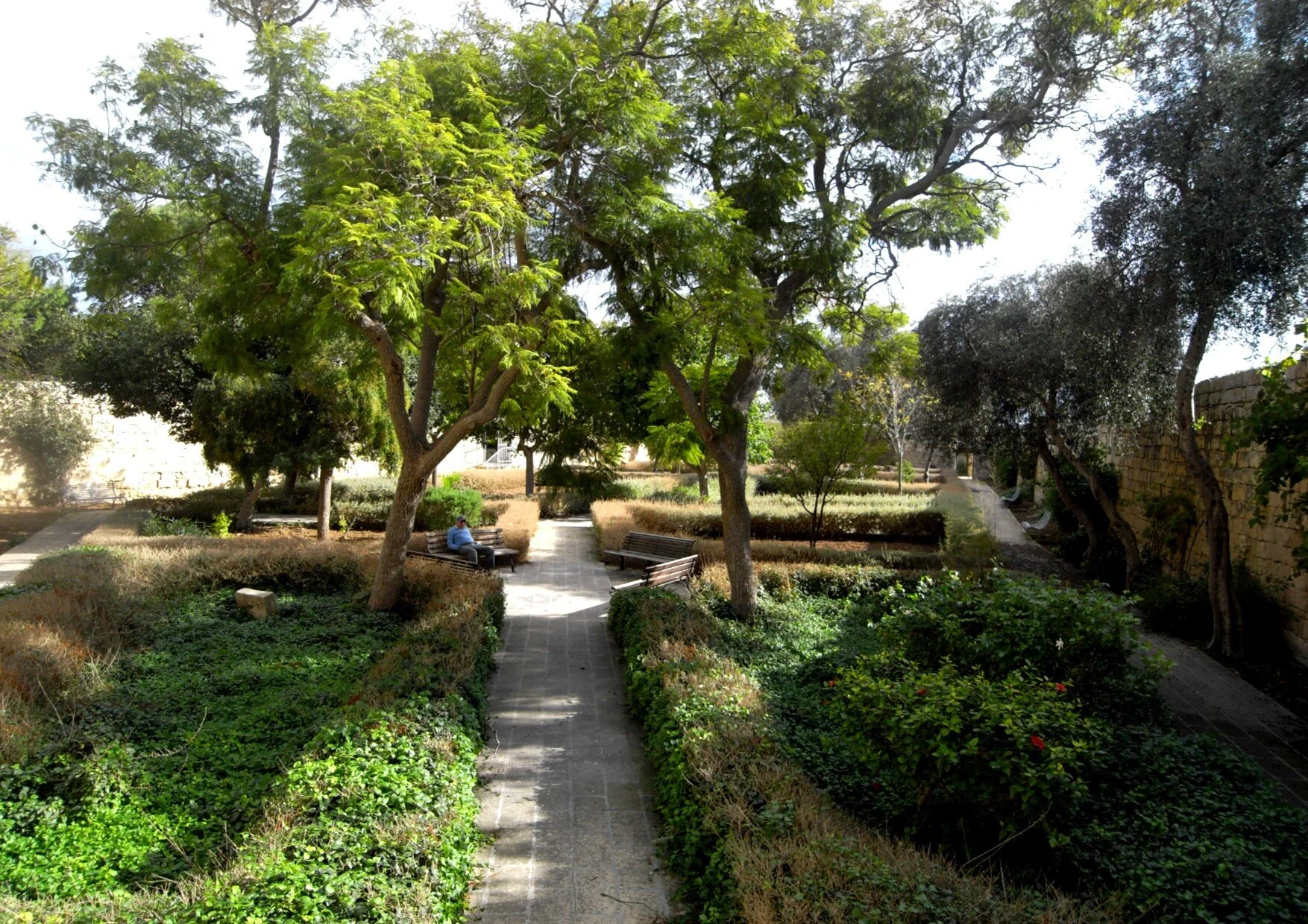 Zejtun: Public gardens — Buildings of Malta