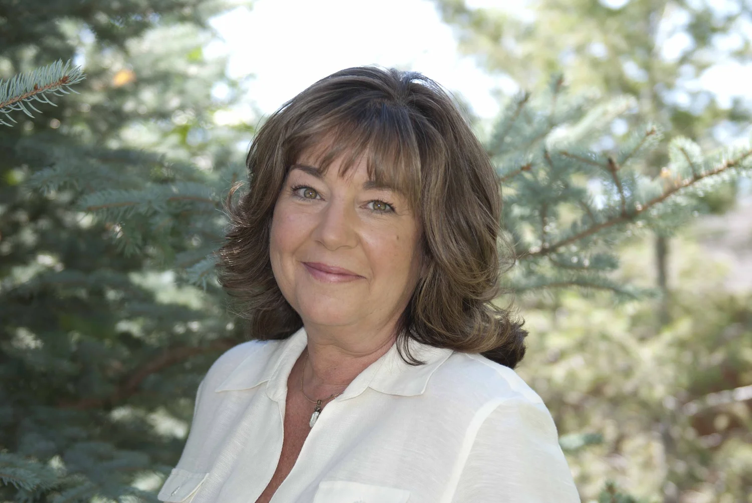 About — Lisa Fowler Realty