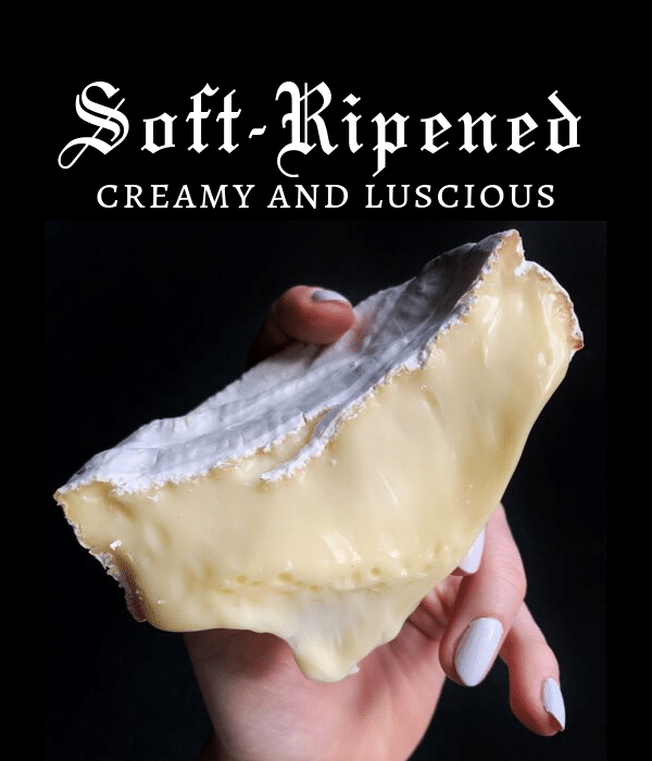 The 5 Cheese Types — Cheese Sex Death