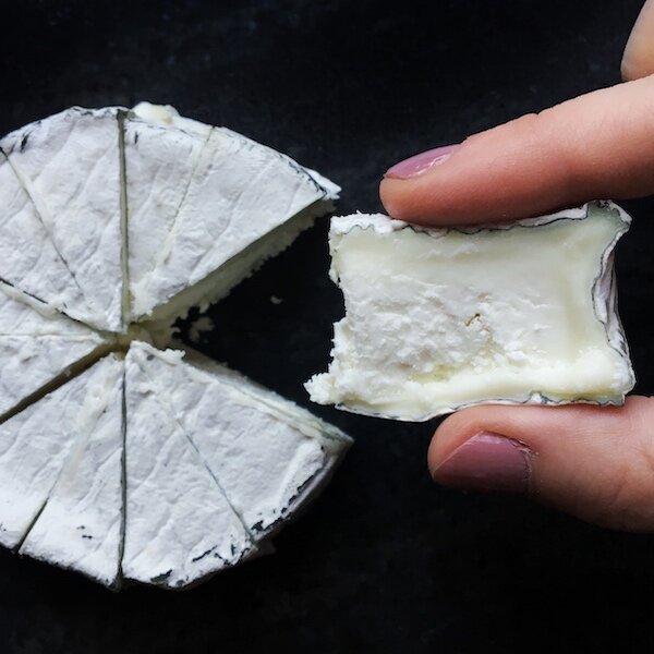 Cheese 101 — Cheese Sex Death