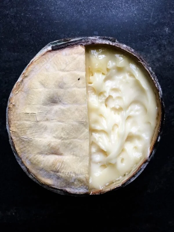 How to Cut Cheese the Right Way — Cheese Sex Death