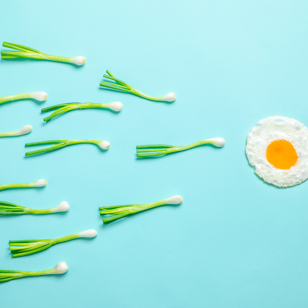 Fertility: the other F word. | Triangle Pelvic Health