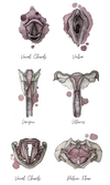 The Throat & Womb Connection | Triangle Pelvic Health