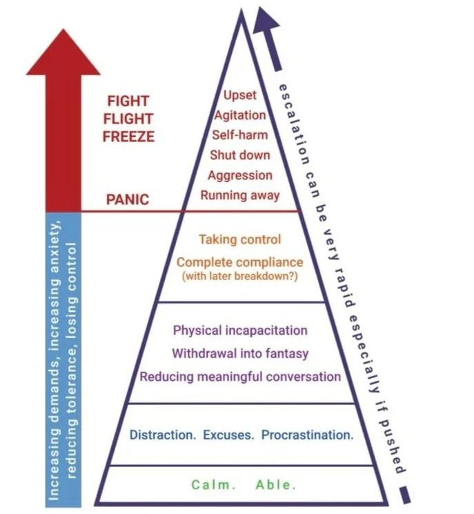Hvad er PDA eller Kravafvisende adfærd — Psykolog Maiken Håkonsson
