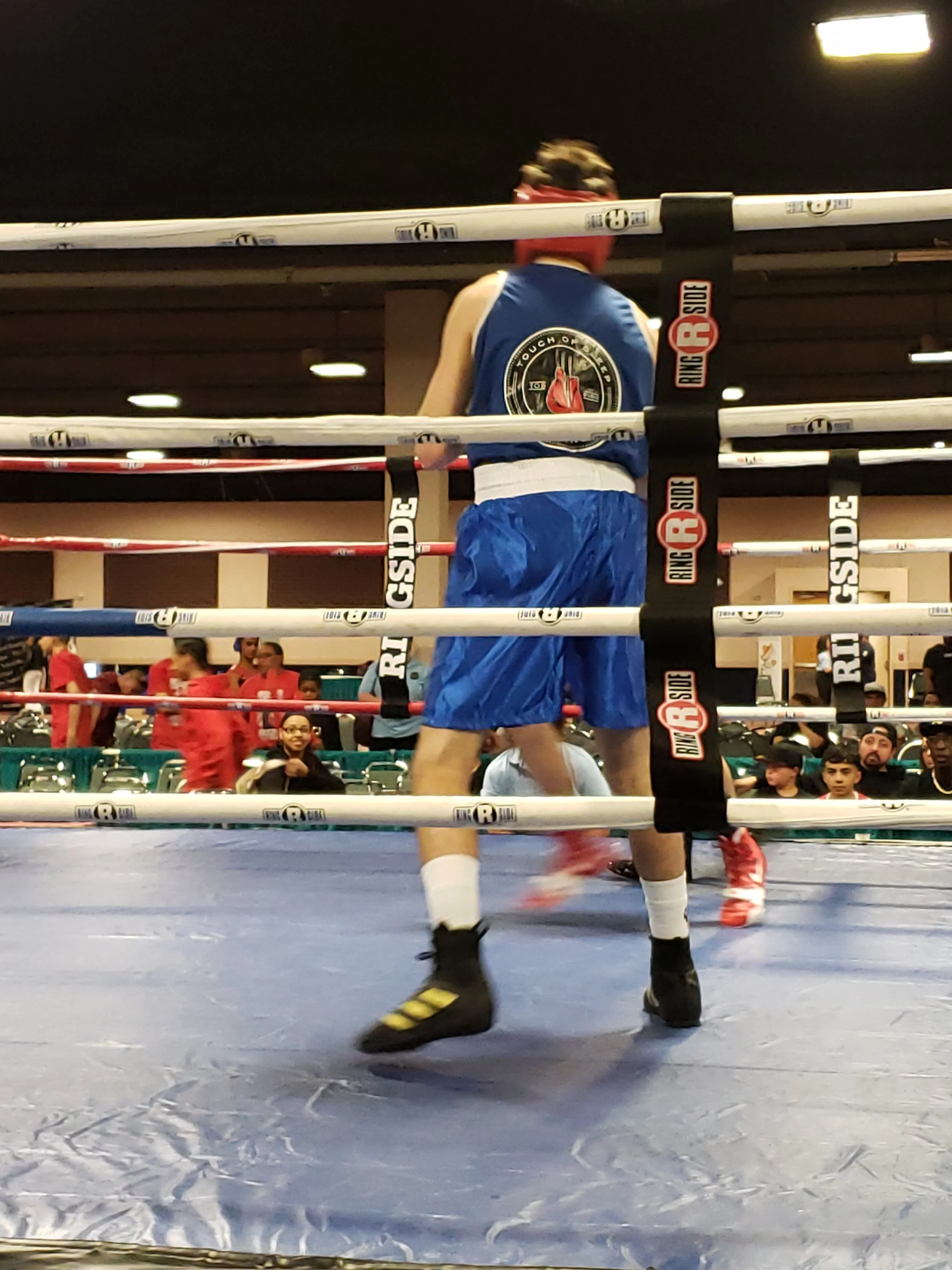 2019 State Tournament — Colorado Golden Gloves Charities Inc.