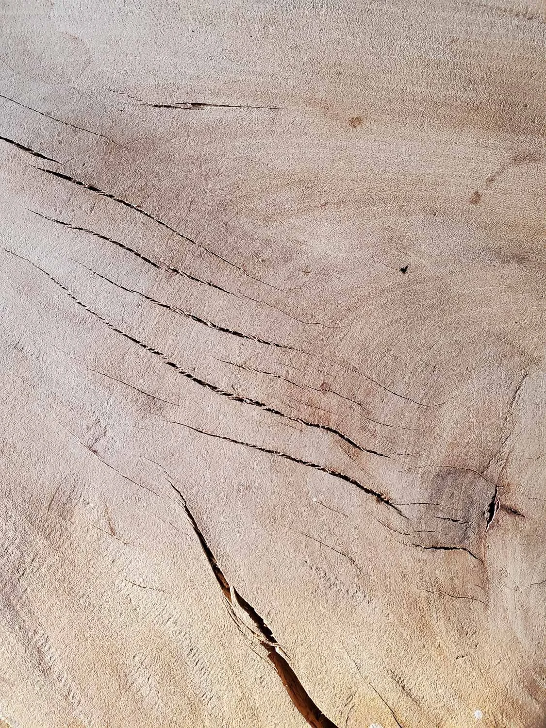 The Patina Collection: How To Slow Down & Find Beauty in The Unexpected ...