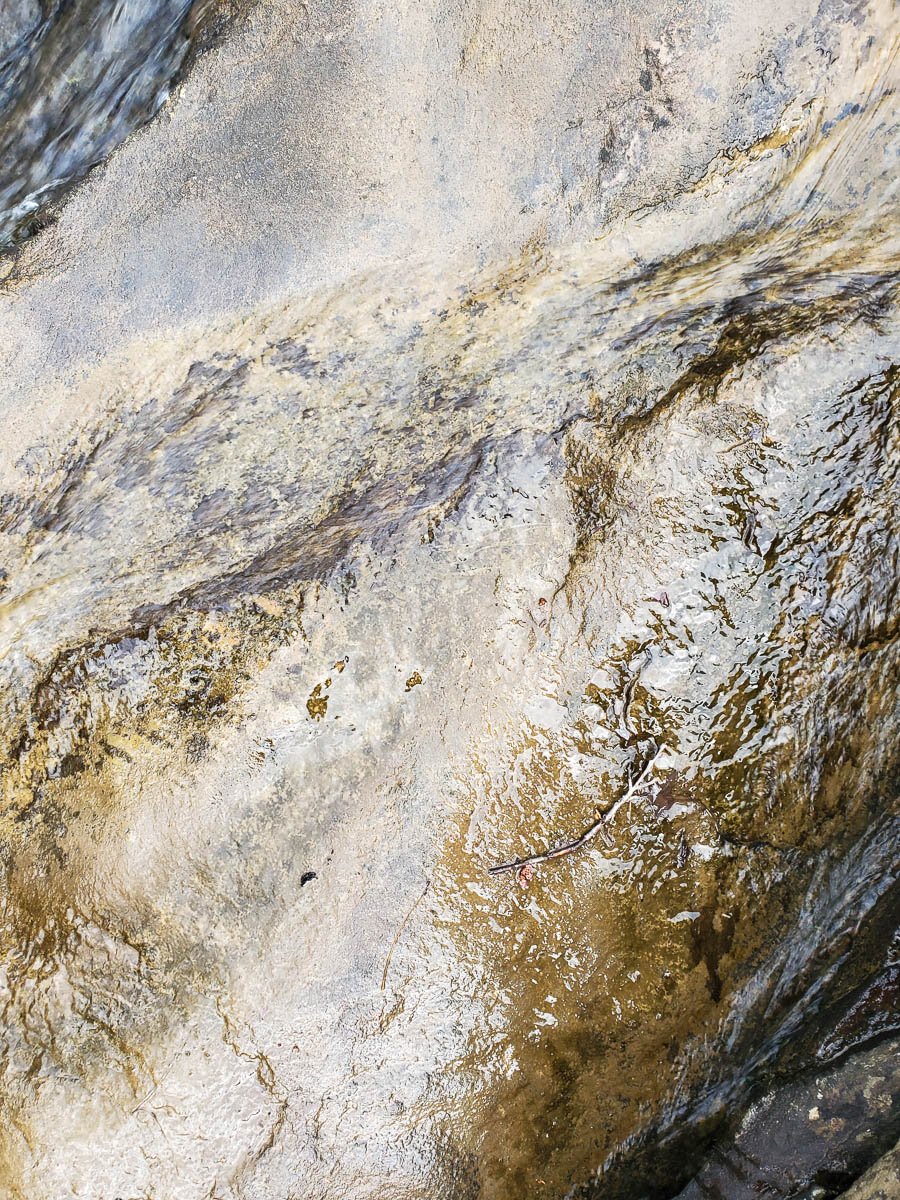 Traces Of Nature Collection- The Inspiration — Molly Supplee Art