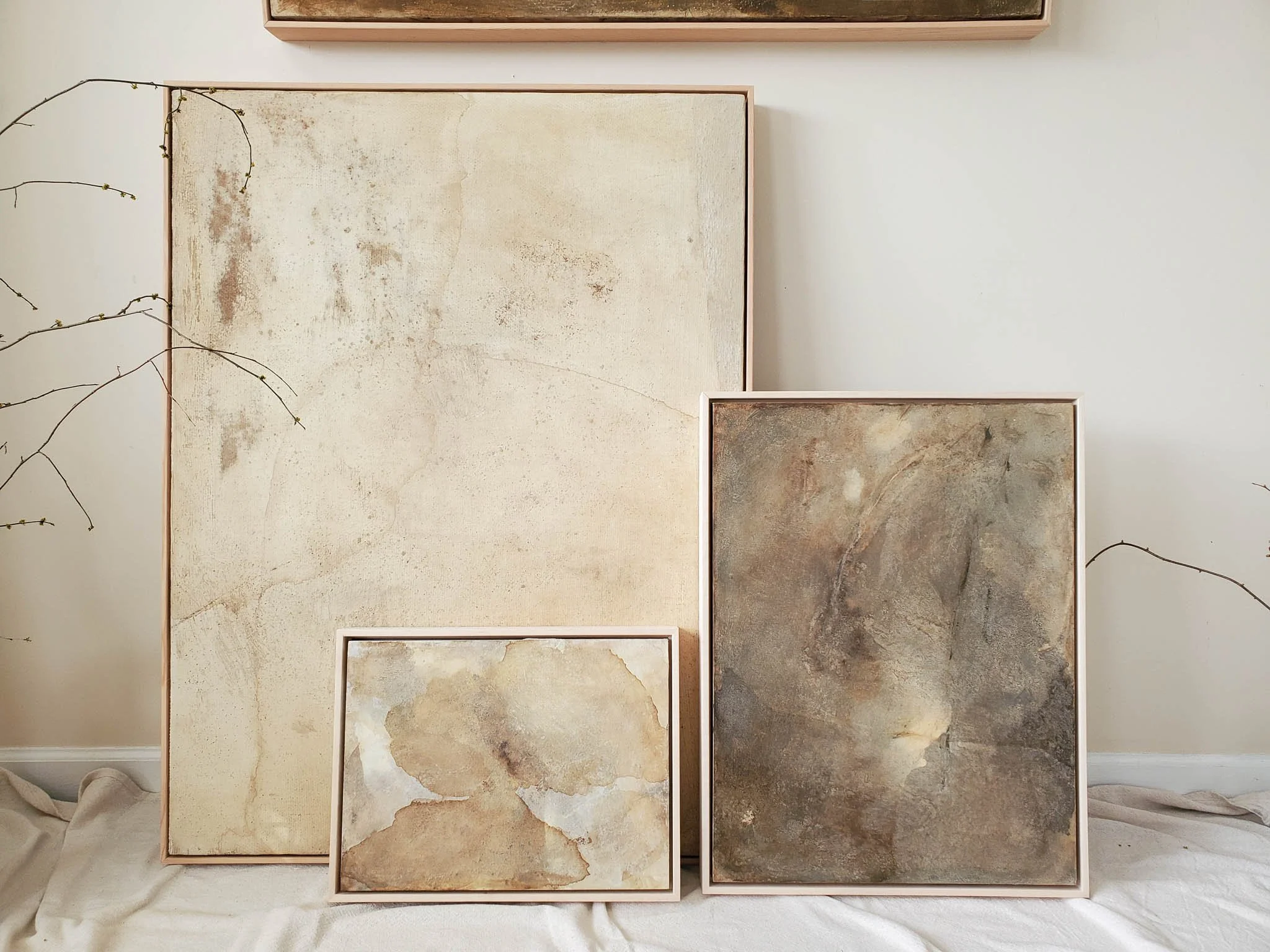 Traces Of Nature Collection- The Inspiration — Molly Supplee Art