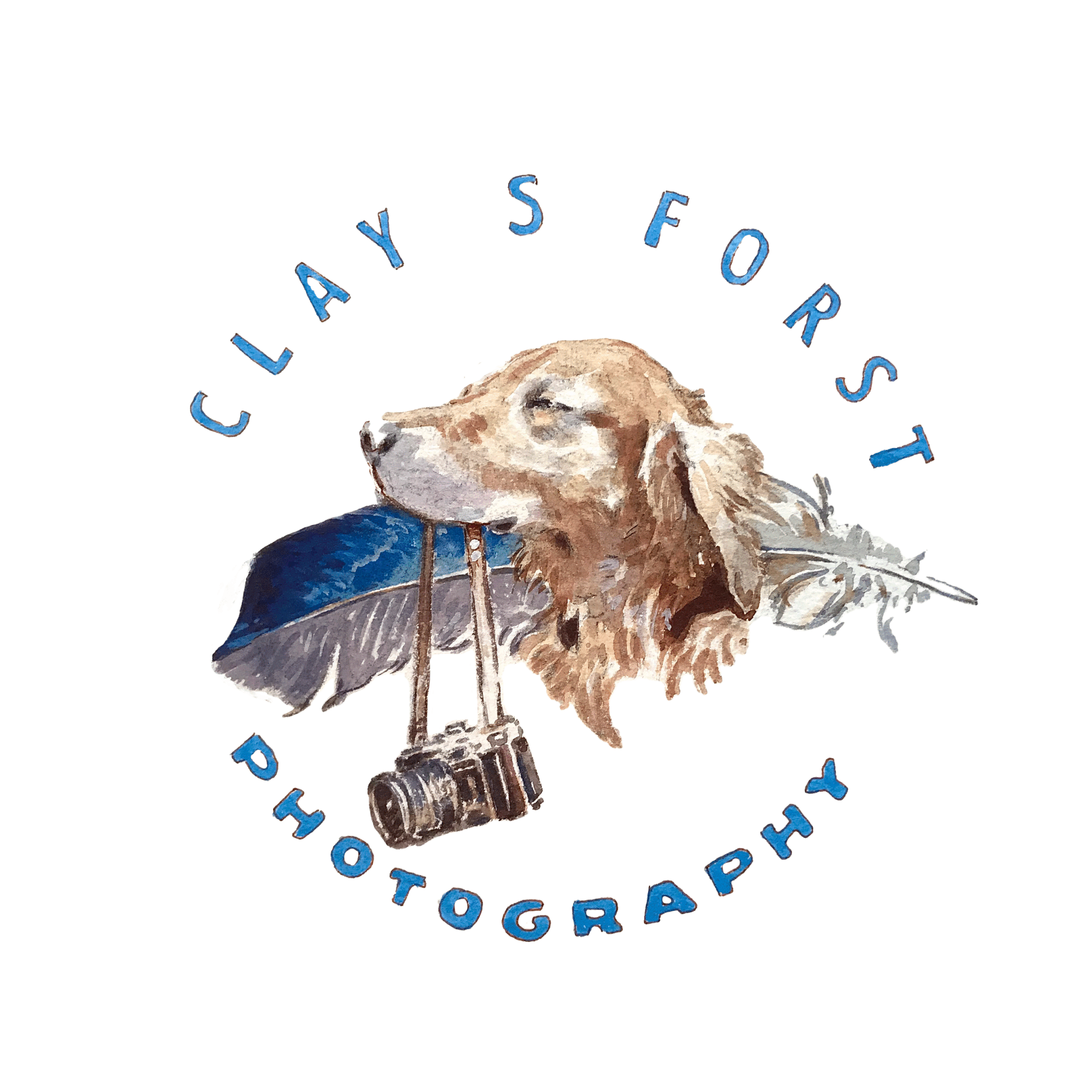 Coon Hunting Backgrounds