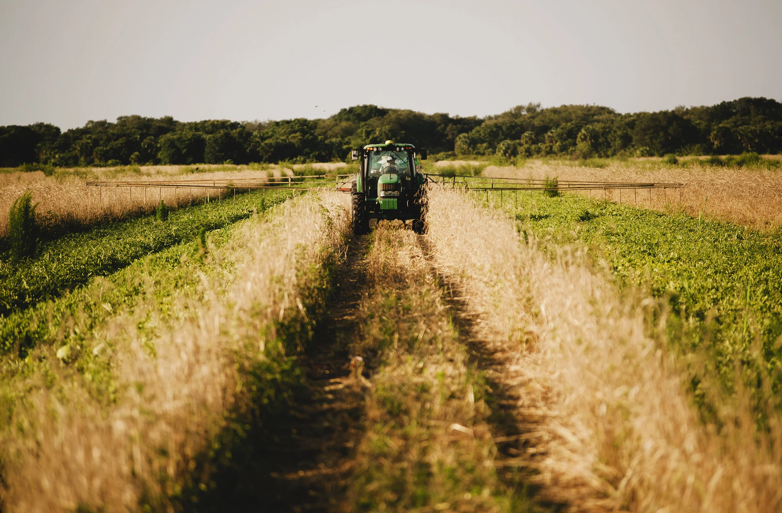 Global Produce Sales