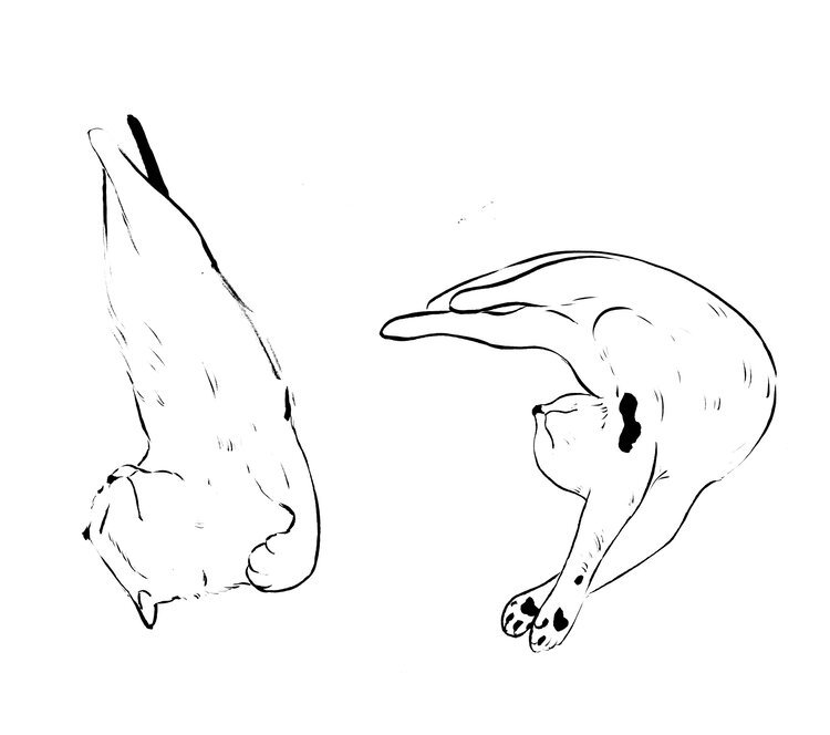 Comic — Heather Hua