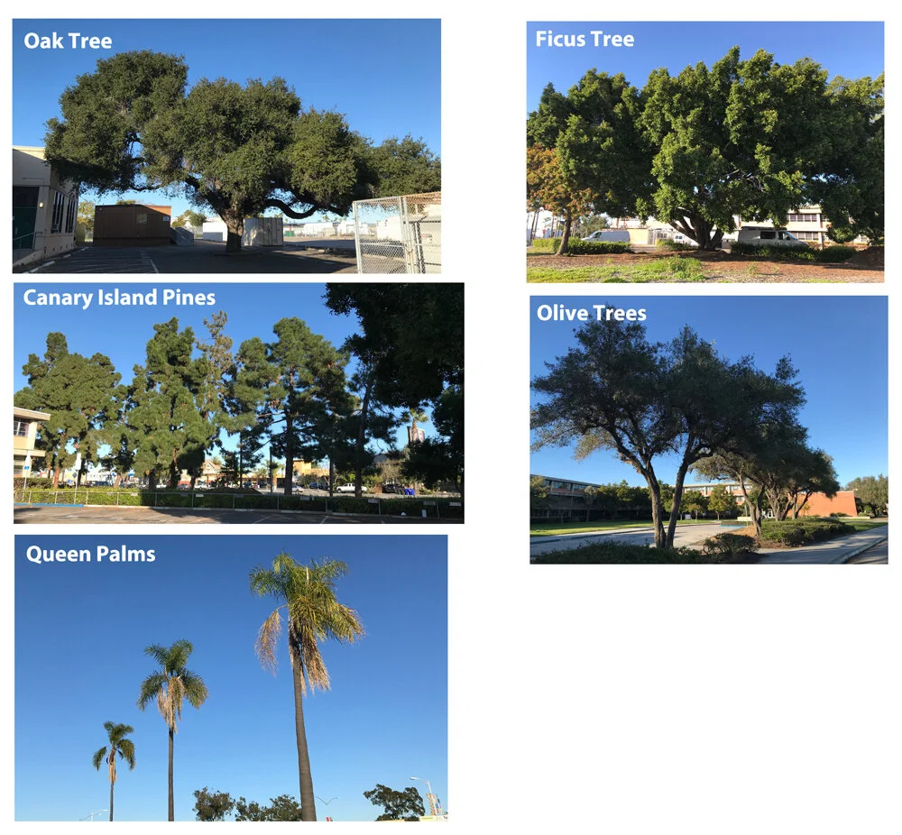 Normal School Site | Explore Historic Education Sites — University ...