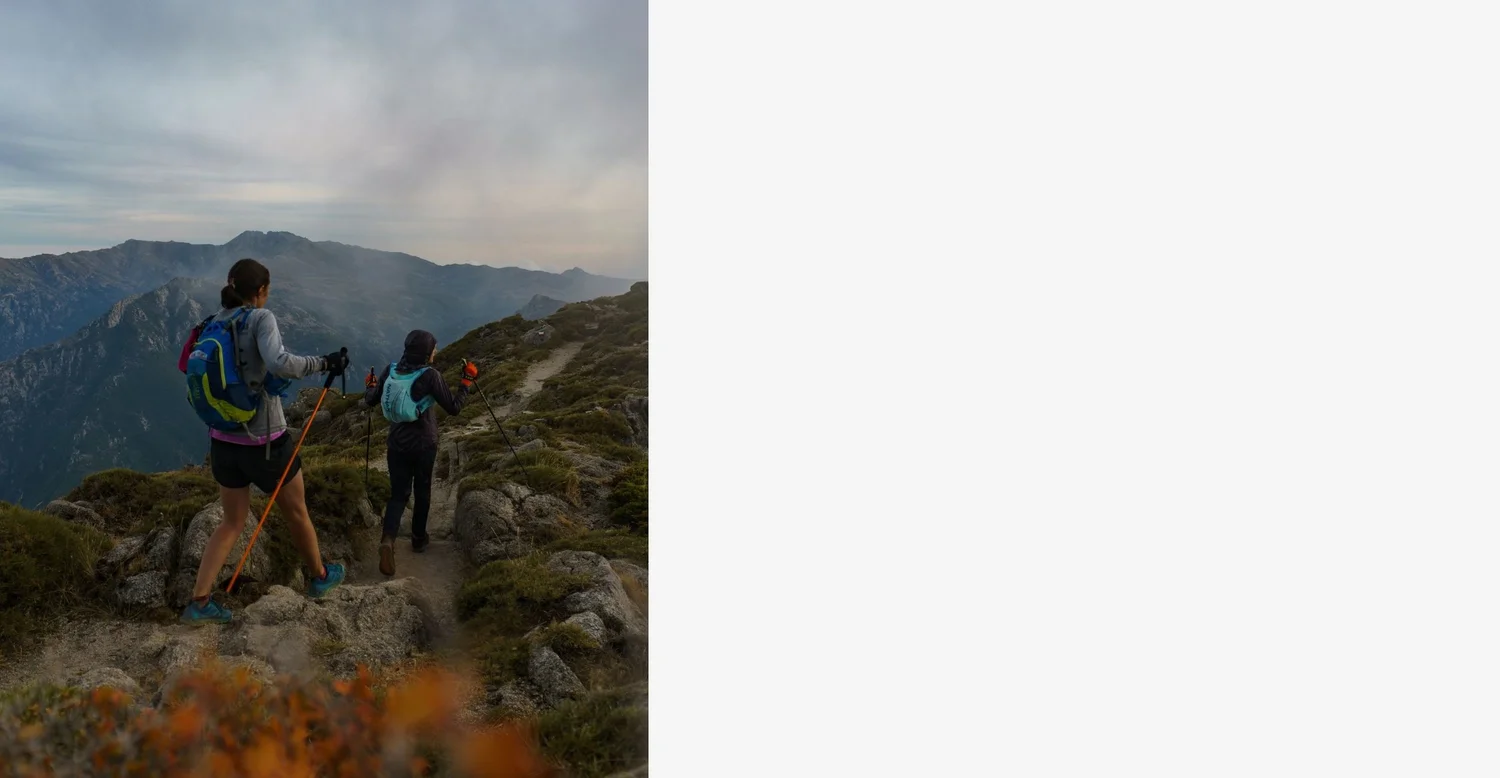 THE MOUNTAIN PROJECT