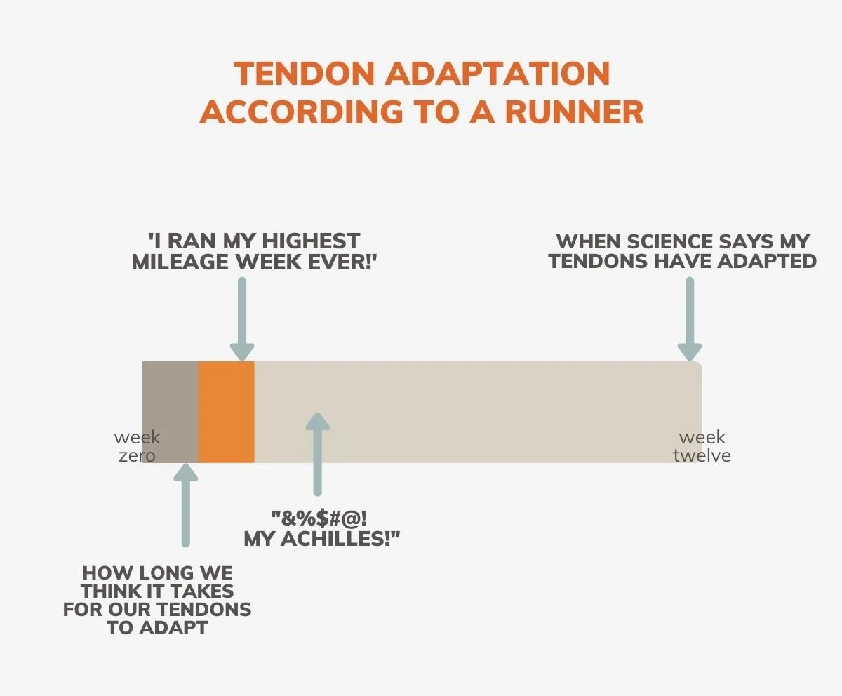 Transitioning from Skiing to Running: Tendon Adaptation with Dr. Amy ...