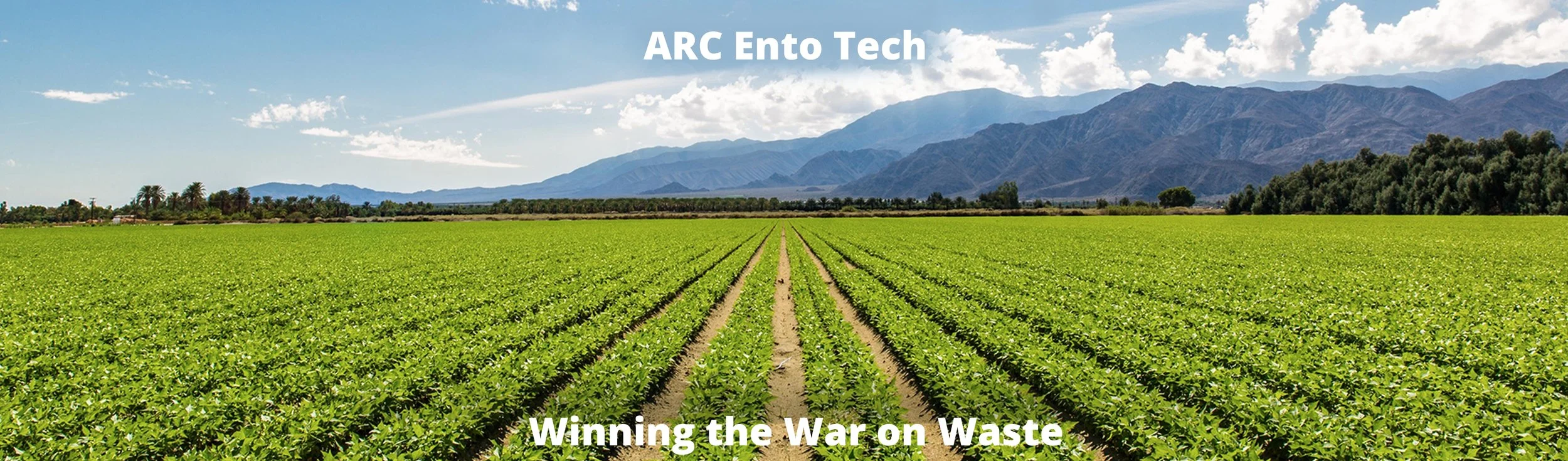 ARC Ento Tech