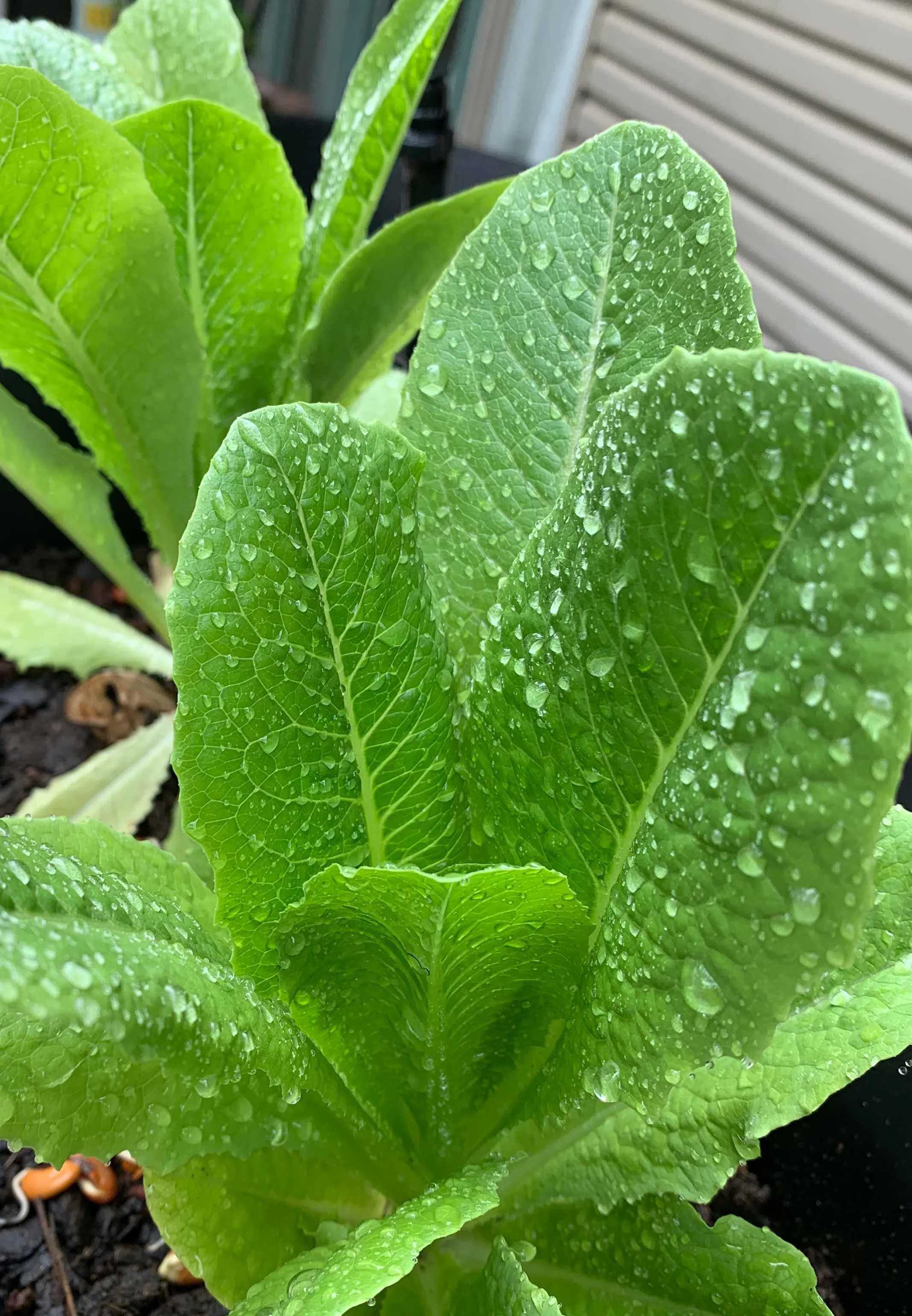 Sustainable Products | Arc Ento Tech Ltd