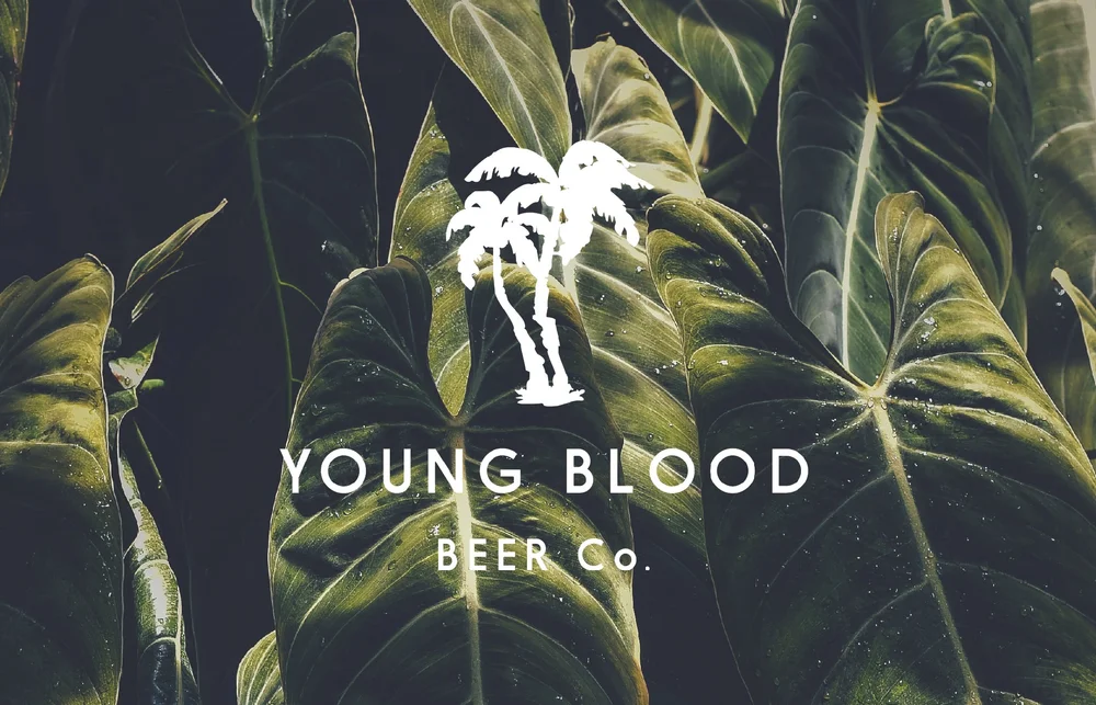 Young Blood Beer Company | Experimental Microbrewery