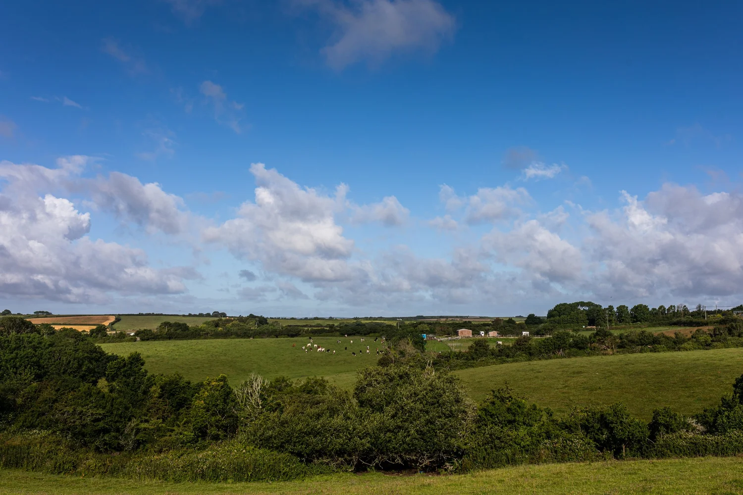 HIGHER ROSEVINE FARM