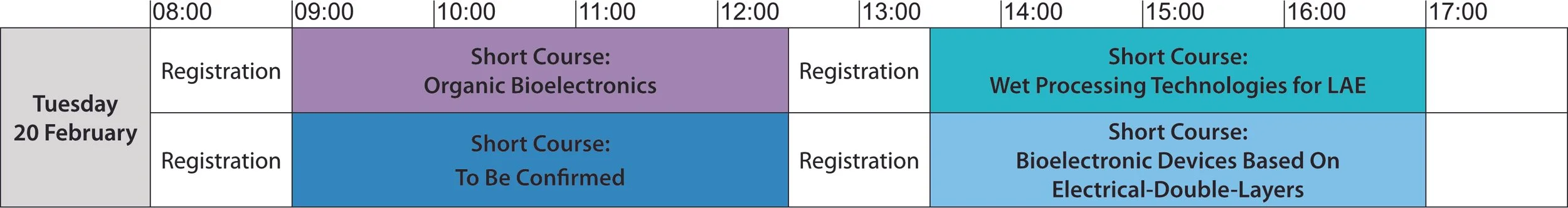 Short Courses — InnoLAE - Innovations in Large Area Electronics