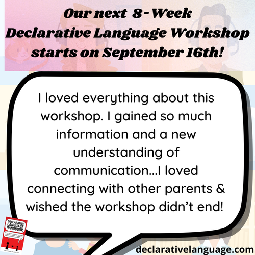 Declarative Language Workshop — DECLARATIVE LANGUAGE HANDBOOK
