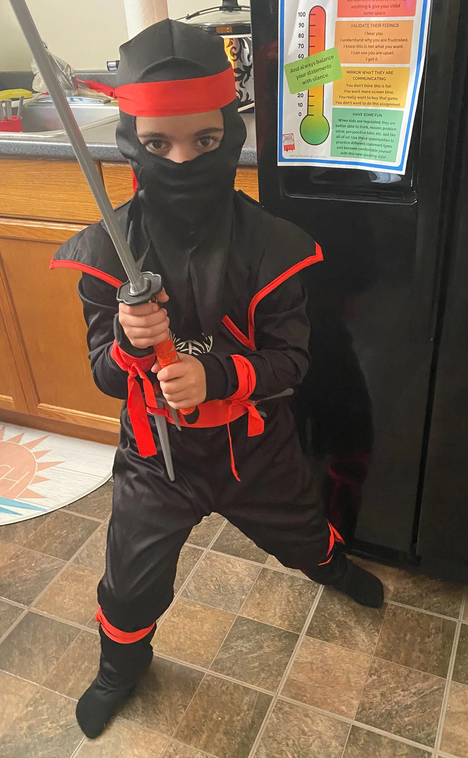 Even Ninjas Know… — DECLARATIVE LANGUAGE HANDBOOK