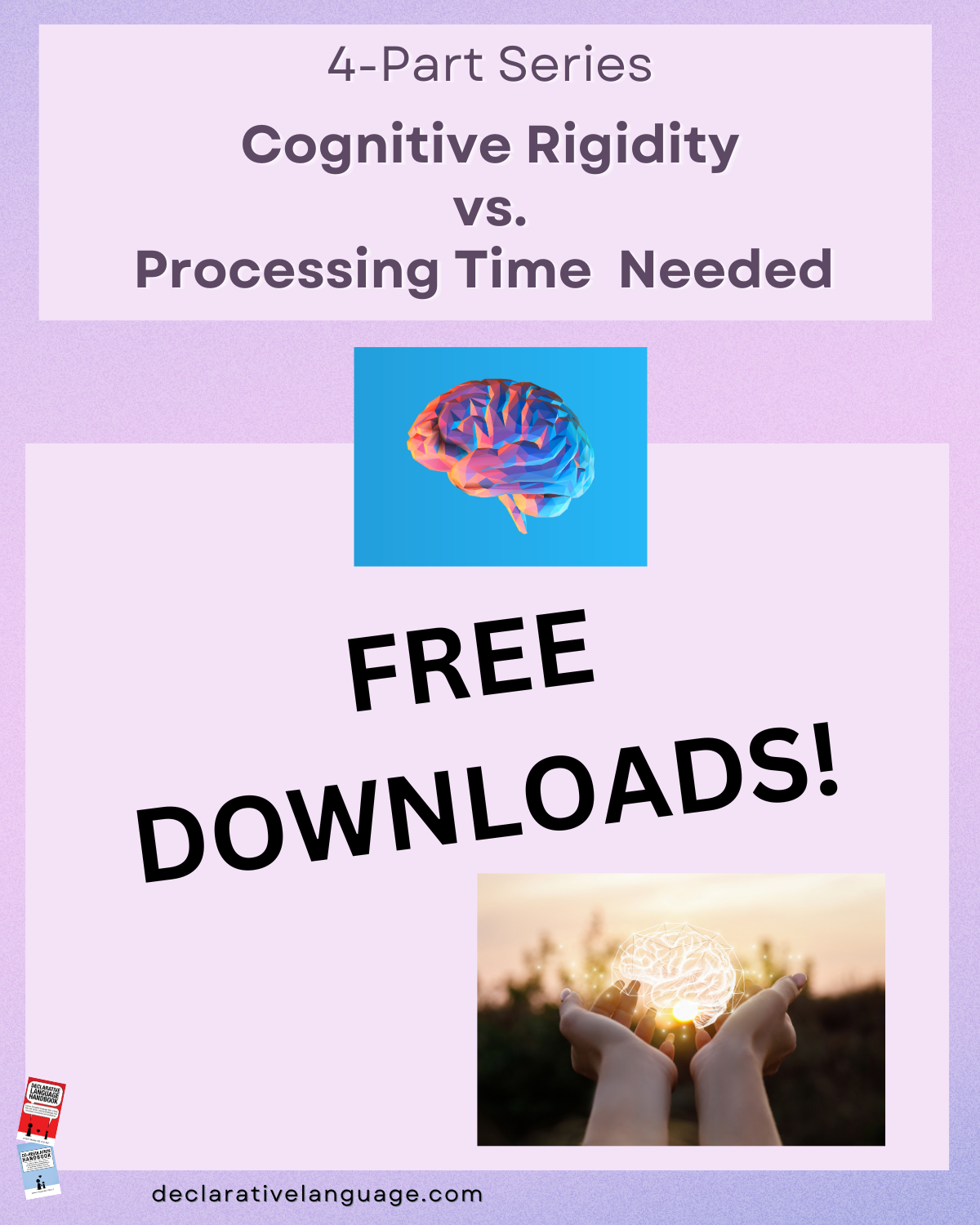 DECLARATIVE LANGUAGE HANDBOOK