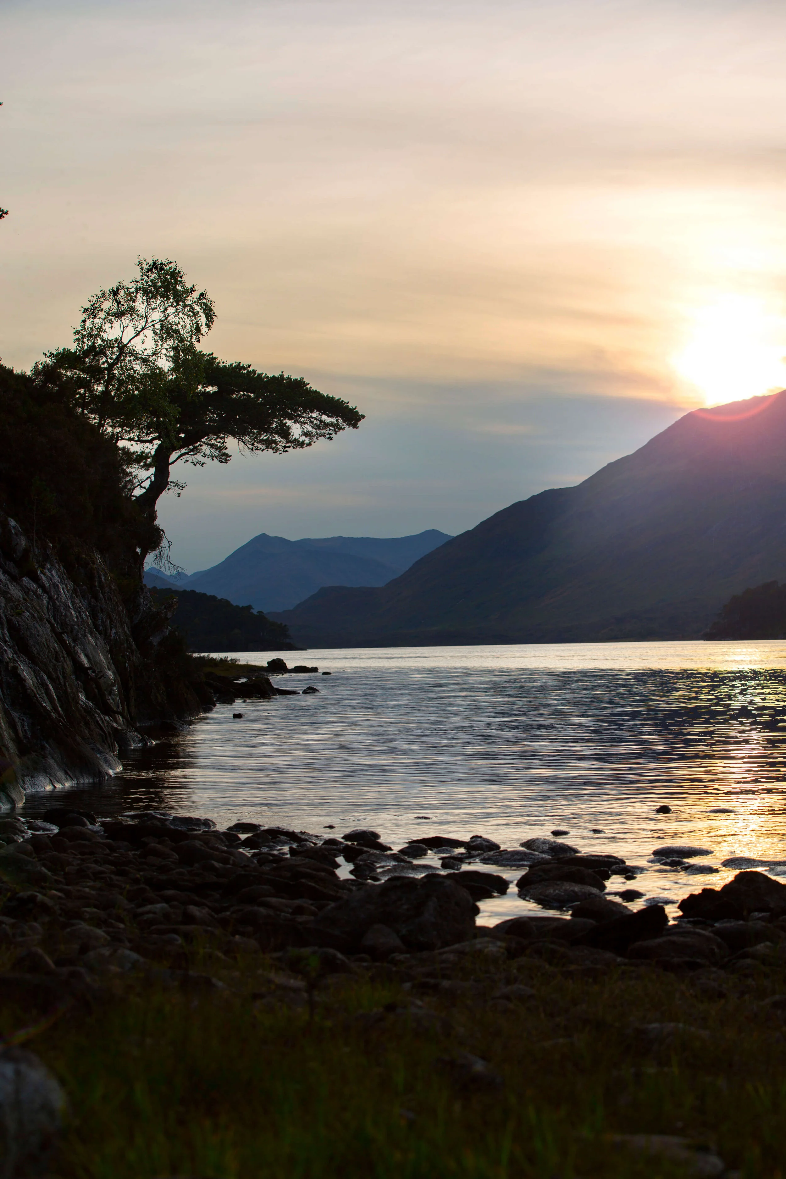 Services 2 — The Glen Affric Estate