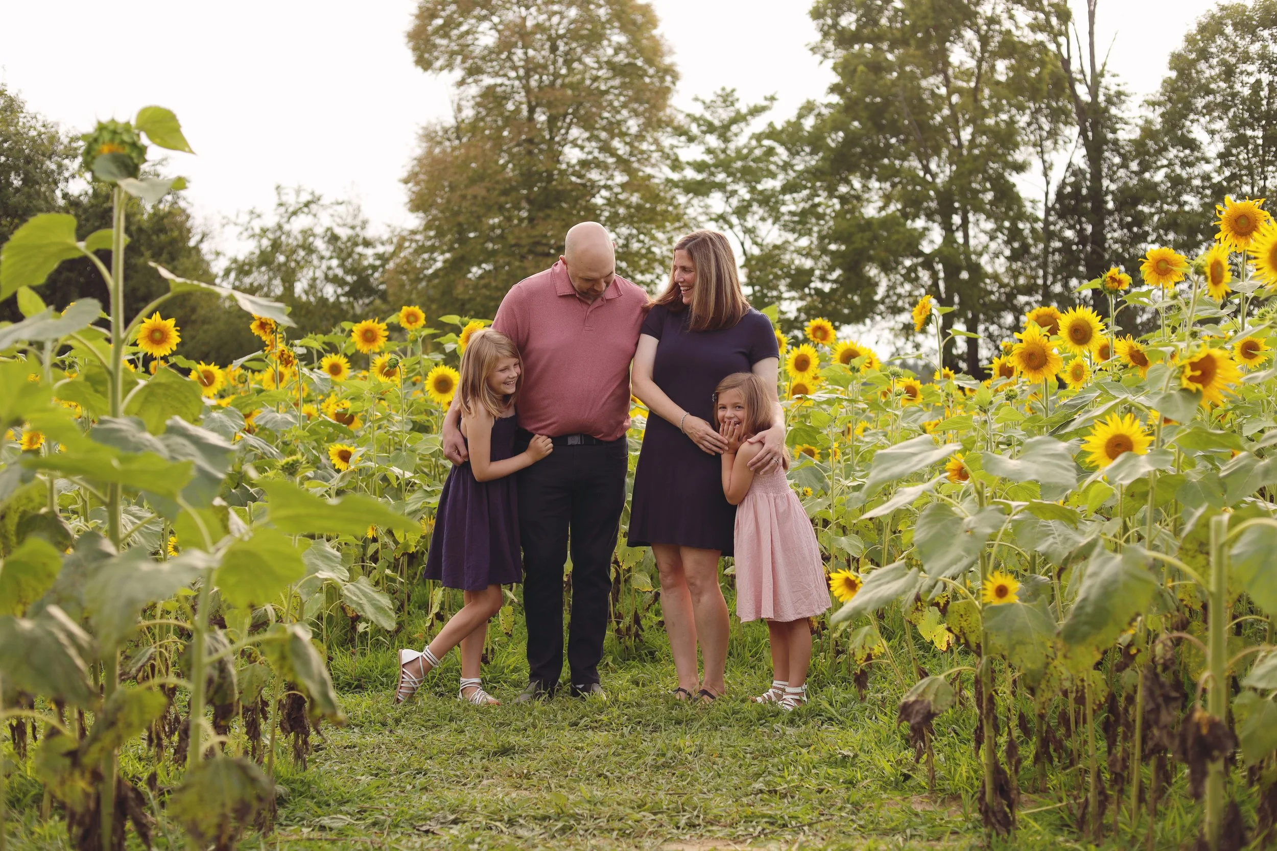 Special Offers — Kim Stahnke Photography