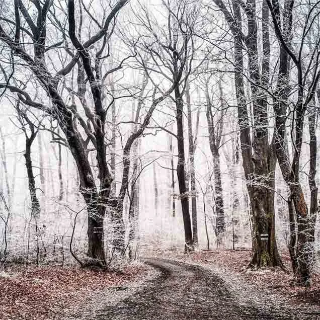 The impossible path of blessings — First Presbyterian Church of Big ...