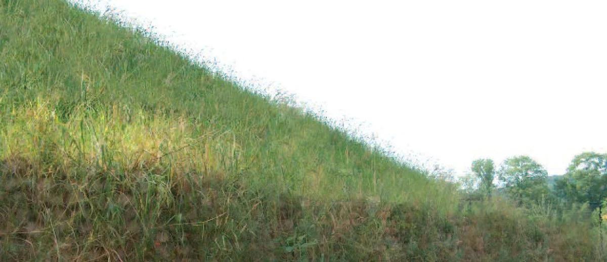 soilDEFENDER Reclamation Mix: Restore Land with Precision ...