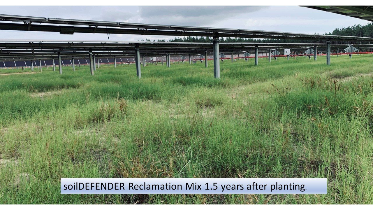 Harnessing Solar Power: Explore the Skipjack Solar Center's Renewable ...