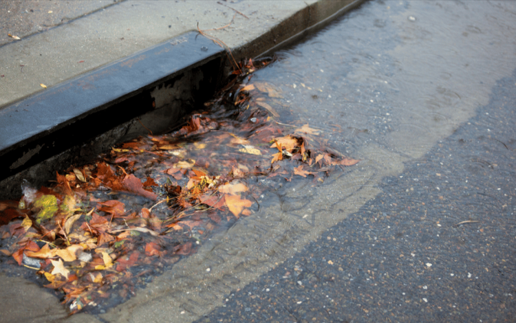 Benefits of Installing a Storm Drain Filter System for Water Protection ...