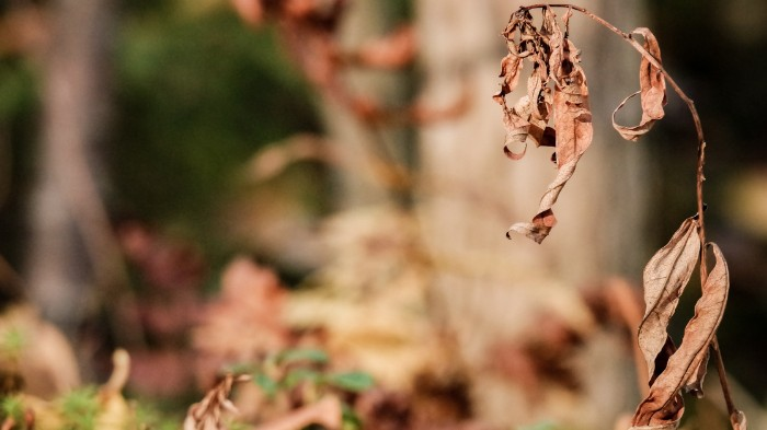 The Significance of Sediment Control: Protecting Our Environment ...