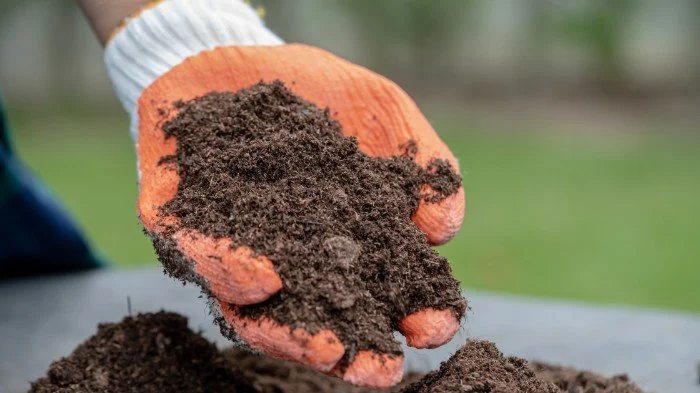 How Soil Amendments Can Benefit Your Construction Site | Environmental ...
