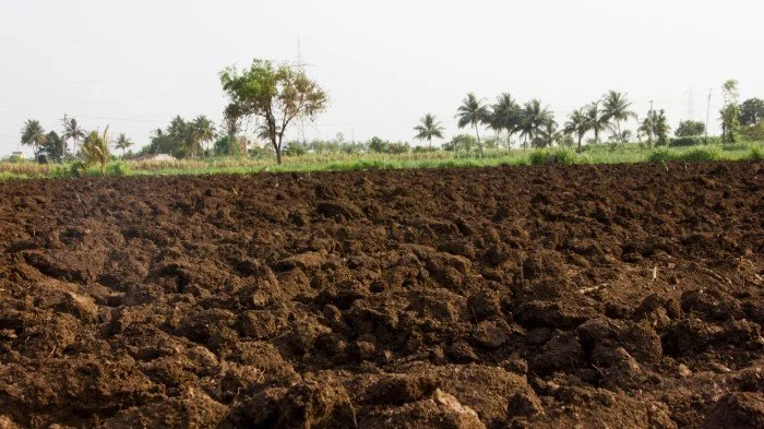 How Soil Amendments Can Benefit Your Construction Site | Environmental ...